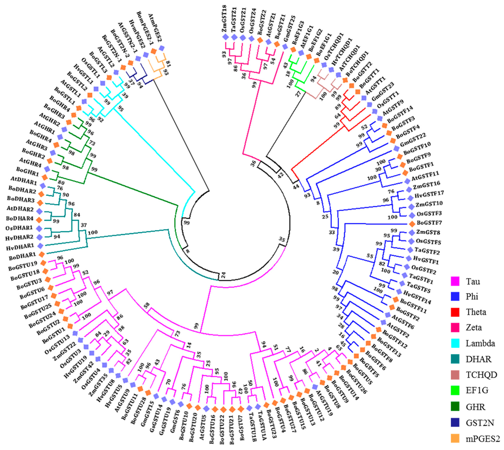 Glutathione Transferases Superfamily: Cold-Inducible Expression of ...
