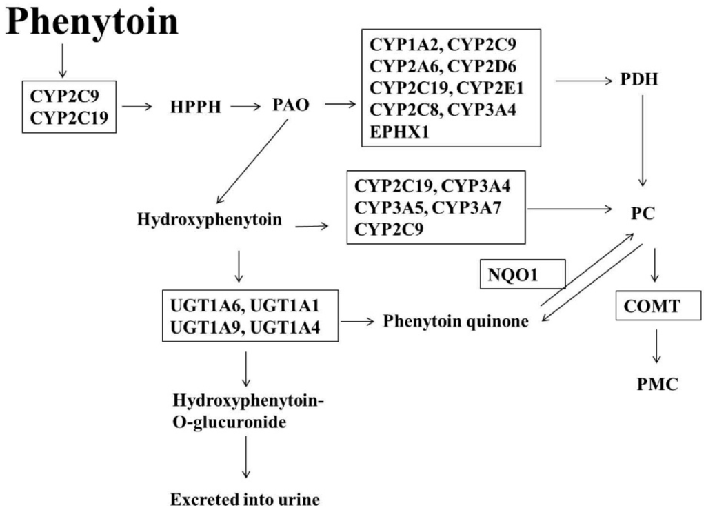 The Impact of Anti-Epileptic Drugs on Growth and Bone Metabolism