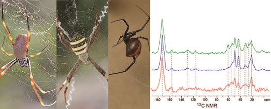 IJMS | Free Full-Text | Evidence of Decoupling Protein Structure from ...