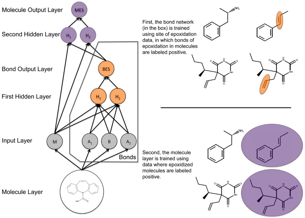 IJMS | Free Full-Text | Deep Artificial Neural Networks and ...