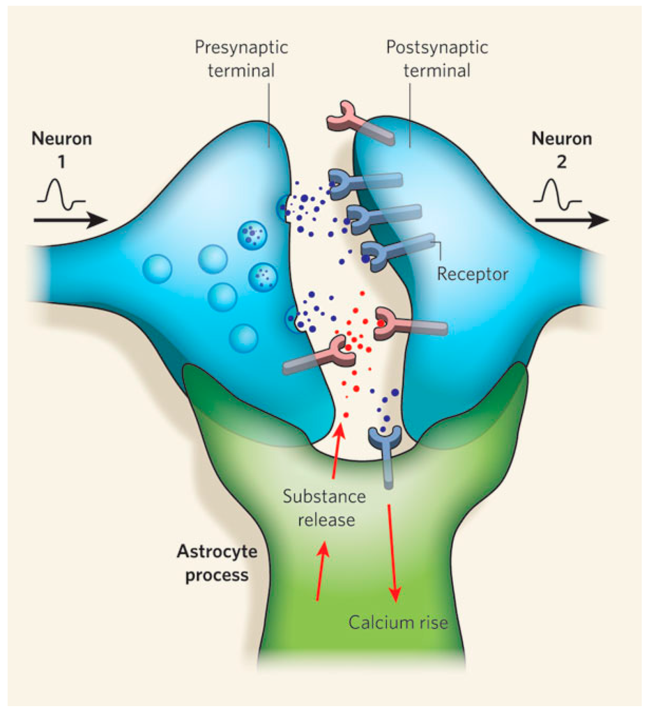 IJMS | Free Full-Text | Deep Artificial Neural Networks and ...