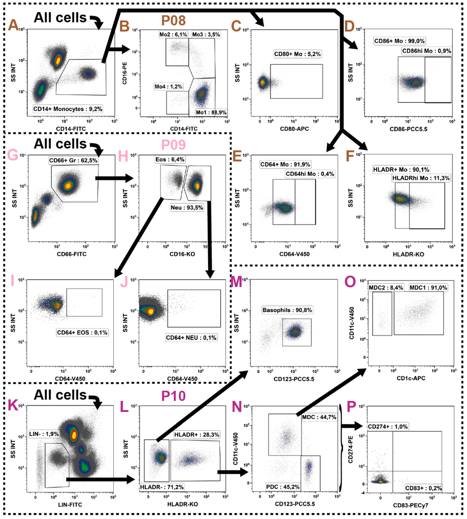 Development of a Modular Assay for Detailed Immunophenotyping of ...