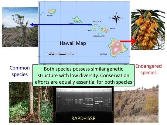 IJMS | Free Full-Text | Population Genetics of the Endemic Hawaiian ...