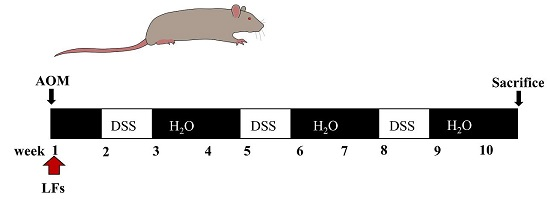IJMS | Free Full-Text | Flavonoids Extracted from Licorice Prevents ...