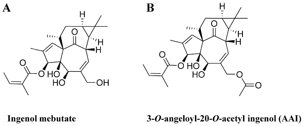 Synthesis and Cytotoxicity against K562 Cells of 3-O-Angeloyl-20-O ...