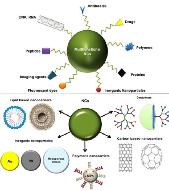 IJMS | Free Full-Text | Surface Modified Multifunctional and Stimuli ...