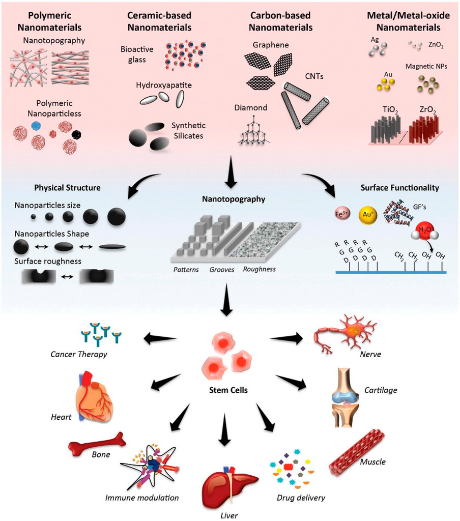 IJMS | Free Full-Text | Surface Modified Multifunctional and Stimuli ...