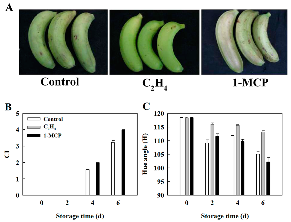 Characteristics of Three Thioredoxin Genes and Their Role in Chilling ...