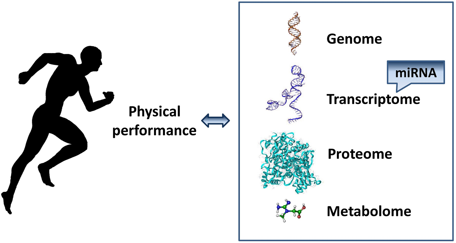 IJMS | Free Full-Text | Circulating MicroRNAs as Potential Biomarkers ... IJMS | Free Full-Text | Circulating MicroRNAs as Potential Biomarkers ...