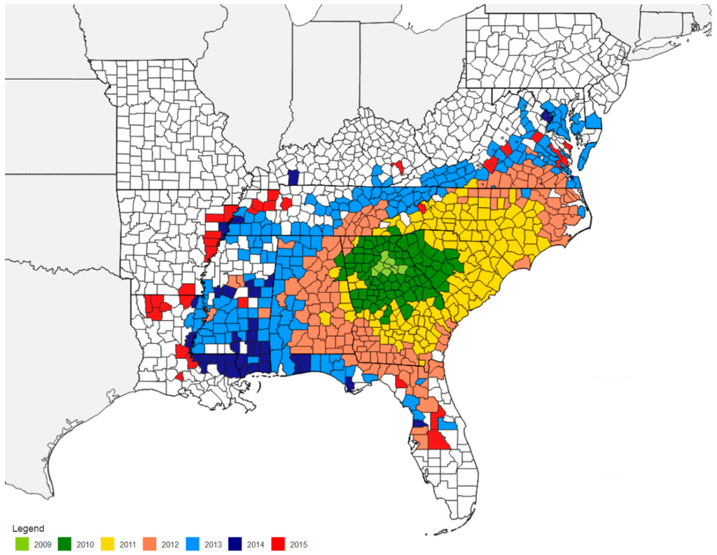 IJMS | Free Full-Text | Biology, Pest Status, Microbiome and Control of ...