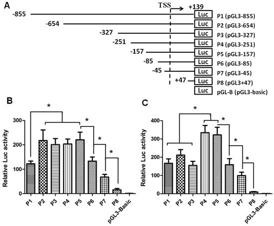 Zinc Finger and X-Linked Factor (ZFX) Binds to Human SET Transcript 2 ...