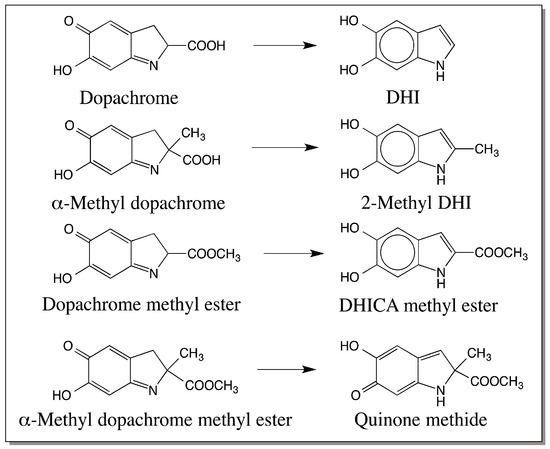Critical Analysis of the Melanogenic Pathway in Insects and Higher Animals