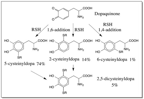 Critical Analysis of the Melanogenic Pathway in Insects and Higher Animals