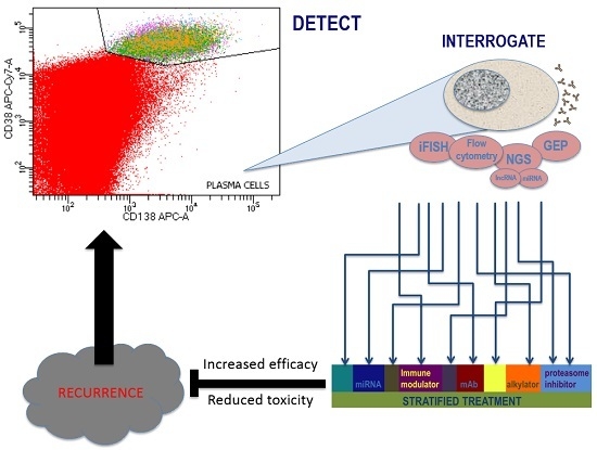 IJMS | Free Full-Text | Towards Stratified Medicine in Plasma Cell Myeloma