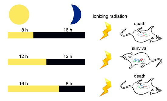 Ijms Free Full Text Circadian Rhythm Shapes The Gut Microbiota