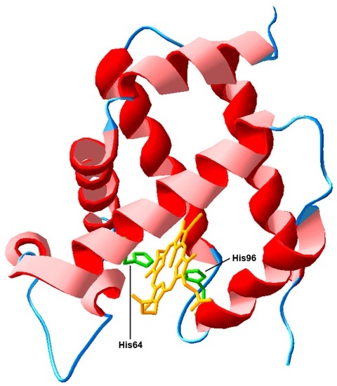 Neuroglobin, a Factor Playing for Nerve Cell Survival