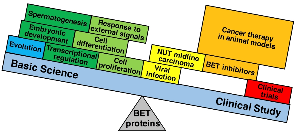 IJMS | Free Full-Text | The Bromodomain and Extra-Terminal Domain (BET ...