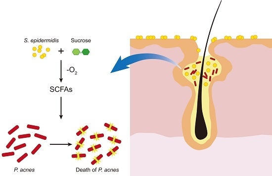 IJMS | Free Full-Text | A Precision Microbiome Approach Using Sucrose ...