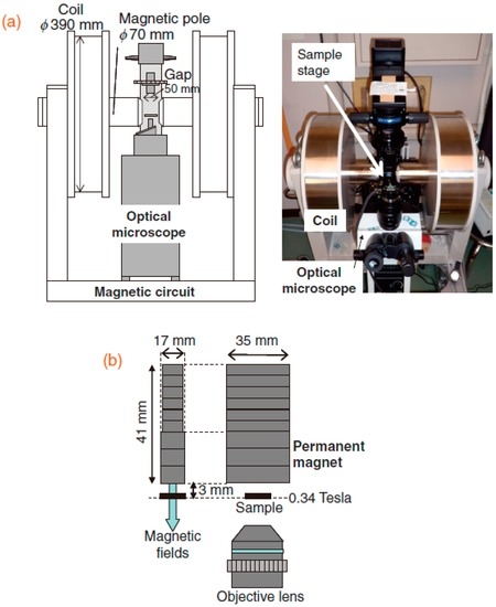 An Overview of Hardware for Protein Crystallization in a Magnetic Field