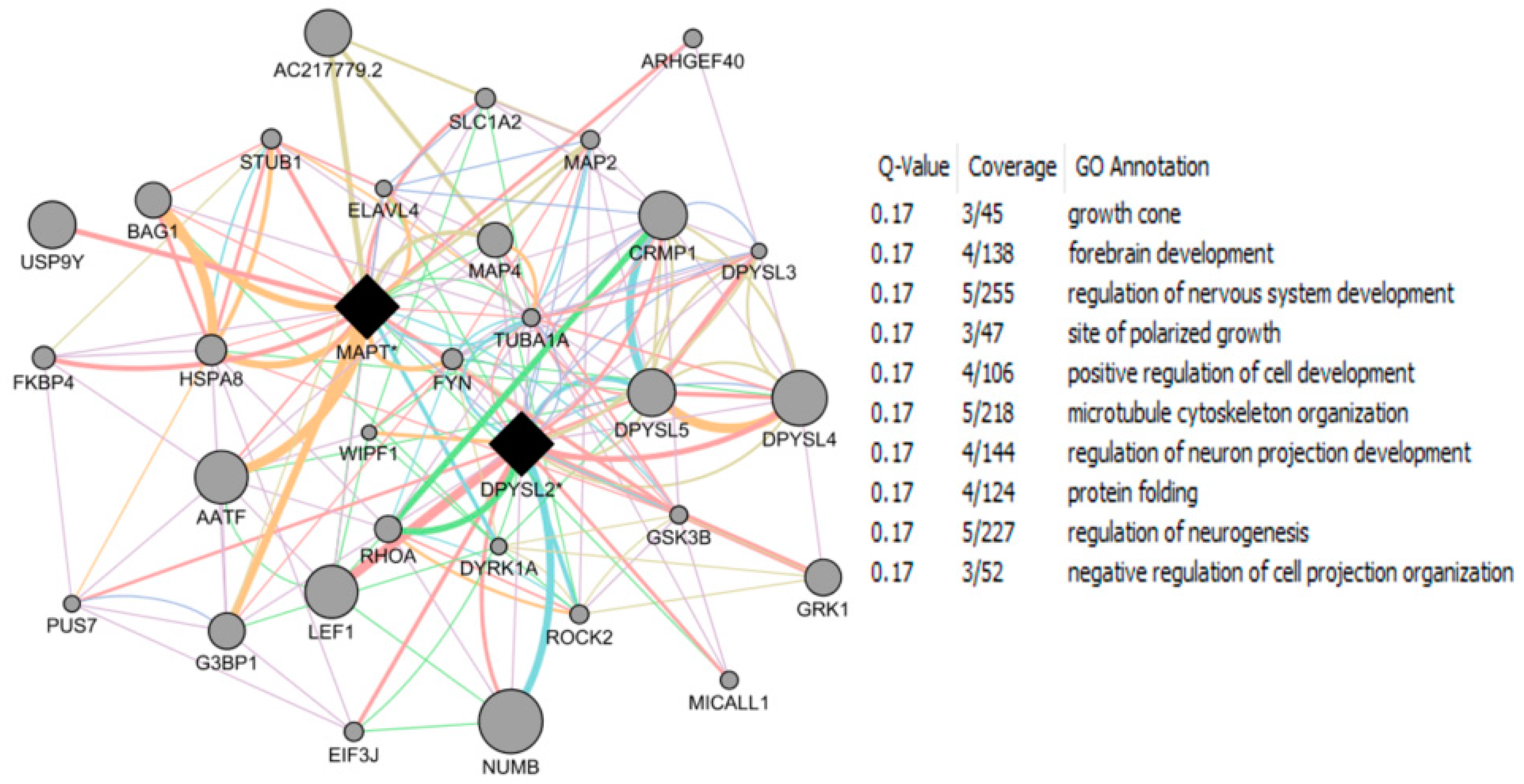 Ijms Free Full Text Estrogenic Endocrine Disrupting Chemicals