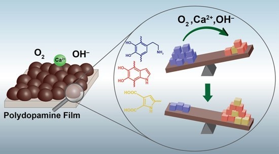 IJMS | Free Full-Text | Calcium-Mediated Control of Polydopamine Film ...