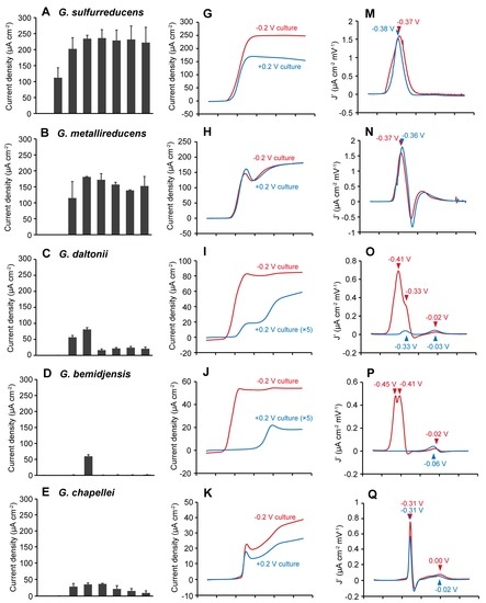 Influence of Anode Potentials on Current Generation and Extracellular ...