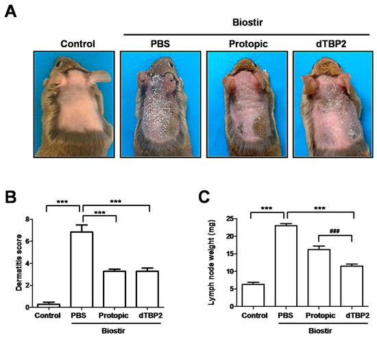 Dimerized Translationally Controlled Tumor Protein-Binding Peptide ...