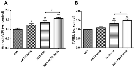 AKT2 Blocks Nucleus Translocation of Apoptosis-Inducing Factor (AIF ...