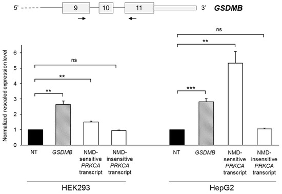 The Characterization of GSDMB Splicing and Backsplicing Profiles ...