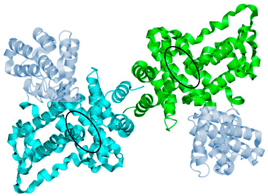 From Lipid Homeostasis to Differentiation: Old and New Functions of the ...
