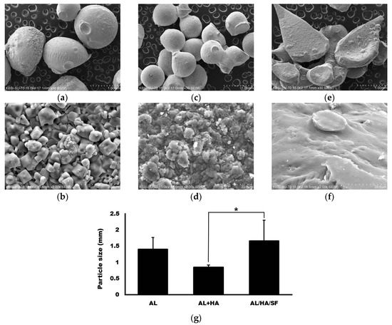 Silk Fibroin-Alginate-Hydroxyapatite Composite Particles in Bone Tissue ...