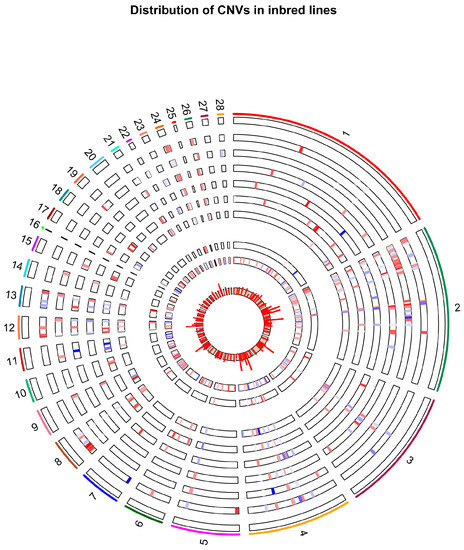 IJMS | Special Issue : Exploring the Genotype–Phenotype Map to Explain ...