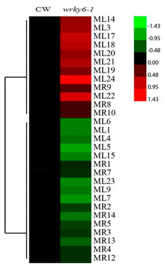 Identifying the Genes Regulated by AtWRKY6 Using Comparative Transcript ...