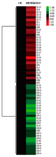 Identifying the Genes Regulated by AtWRKY6 Using Comparative Transcript ...