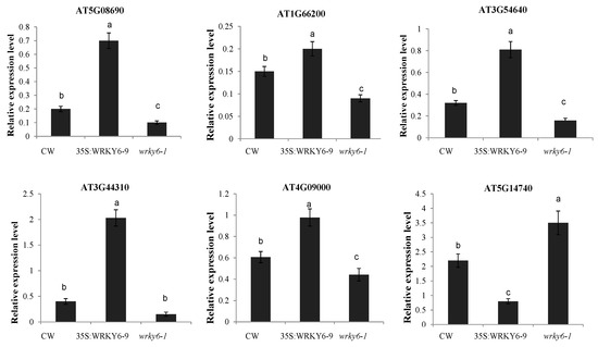 Identifying the Genes Regulated by AtWRKY6 Using Comparative Transcript ...