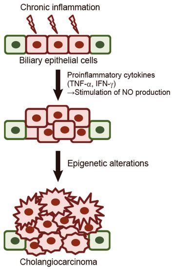 Aberrant DNA Methylation as a Biomarker and a Therapeutic Target of ...