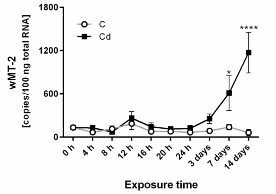 Regulatory Plasticity of Earthworm wMT-2 Gene Expression
