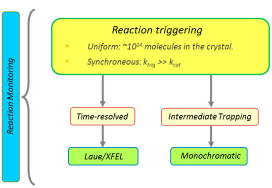Deciphering Structural Photophysics of Fluorescent Proteins by Kinetic ...