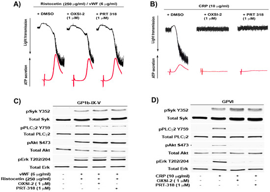 Syk Activity Is Dispensable for Platelet GP1b-IX-V Signaling