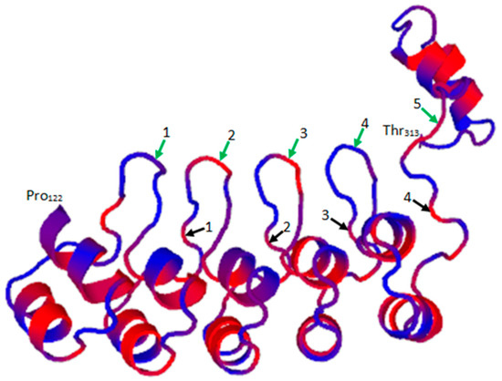Ankyrin Repeat Domain 1 Protein: A Functionally Pleiotropic Protein ...