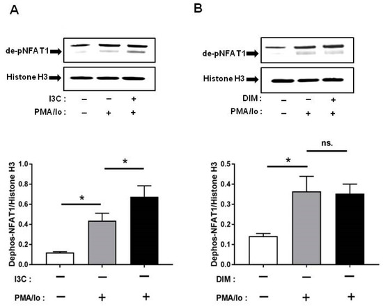 Dose-Dependent Responses of I3C and DIM on T-Cell Activation in the ...