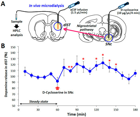 IJMS | Special Issue : Schizophrenia: Pathophysiology, Diagnostics ...