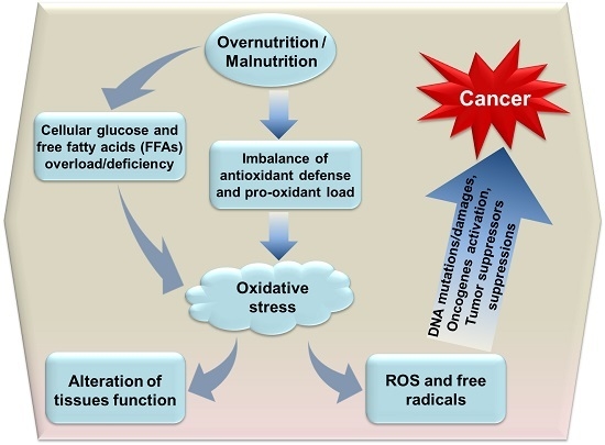 IJMS | Free Full-Text | Correlation between Oxidative Stress, Nutrition ...