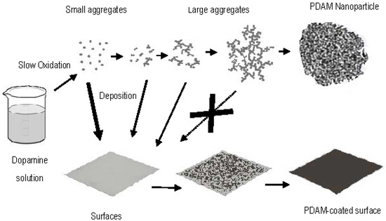 IJMS | Free Full-Text | Melanin and Melanin-Related Polymers as ...
