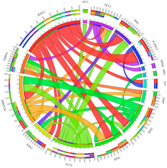 Clinical Outcomes and Co-Occurring Mutations in Patients with RUNX1-Mutated Acute Myeloid Leukemia