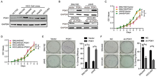 PGK1 Drives Hepatocellular Carcinoma Metastasis by Enhancing Metabolic ...