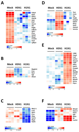 Host Response Comparison of H1N1- and H5N1-Infected Mice Identifies Two ...