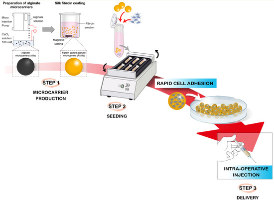 IJMS | Free Full-Text | Fabrication of Innovative Silk/Alginate ...
