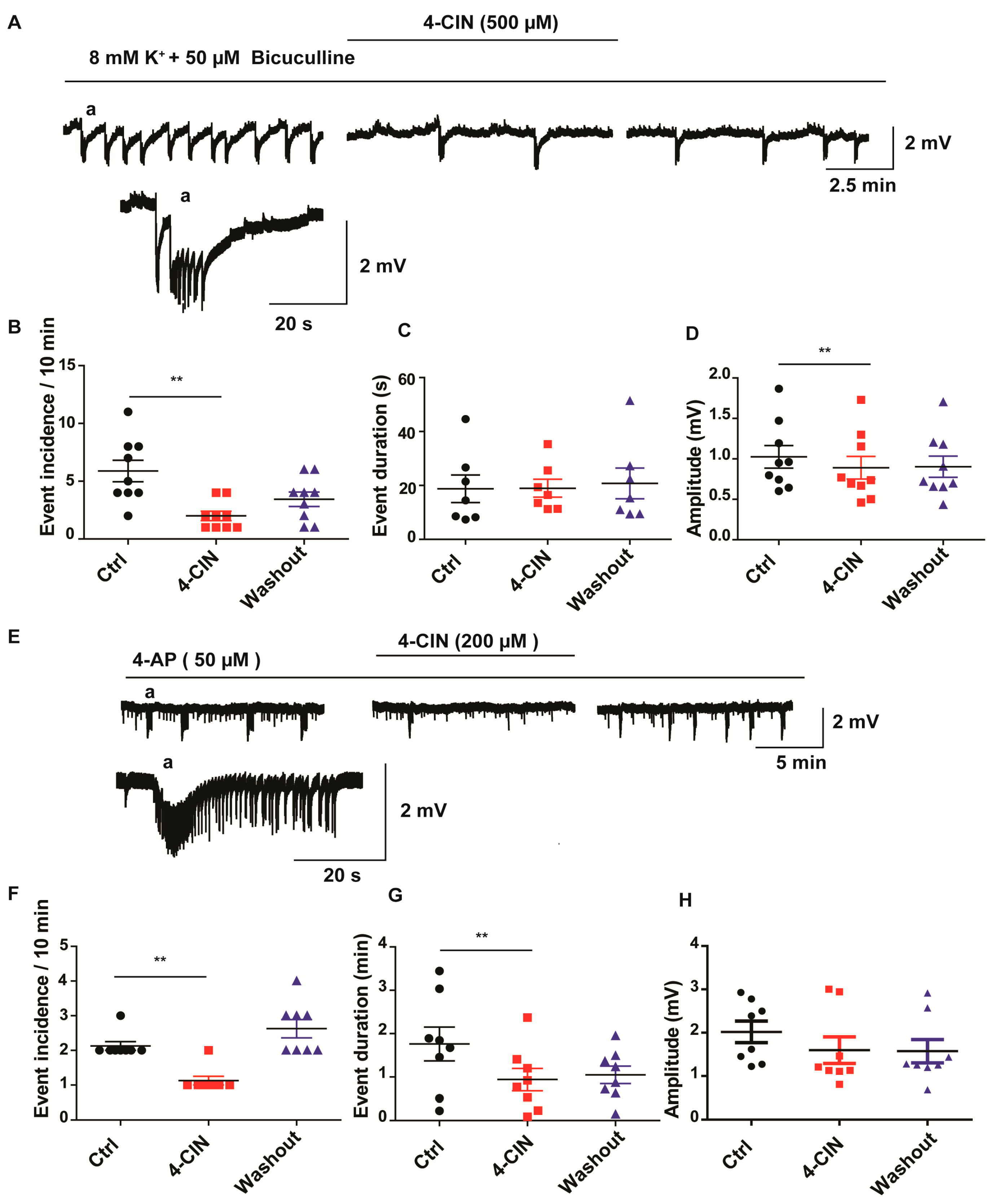 Contribution of Intrinsic Lactate to Maintenance of Seizure Activity in ...