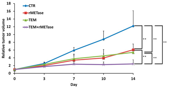 IJMS | Free Full-Text | Patient-Derived Orthotopic Xenograft (PDOX ...